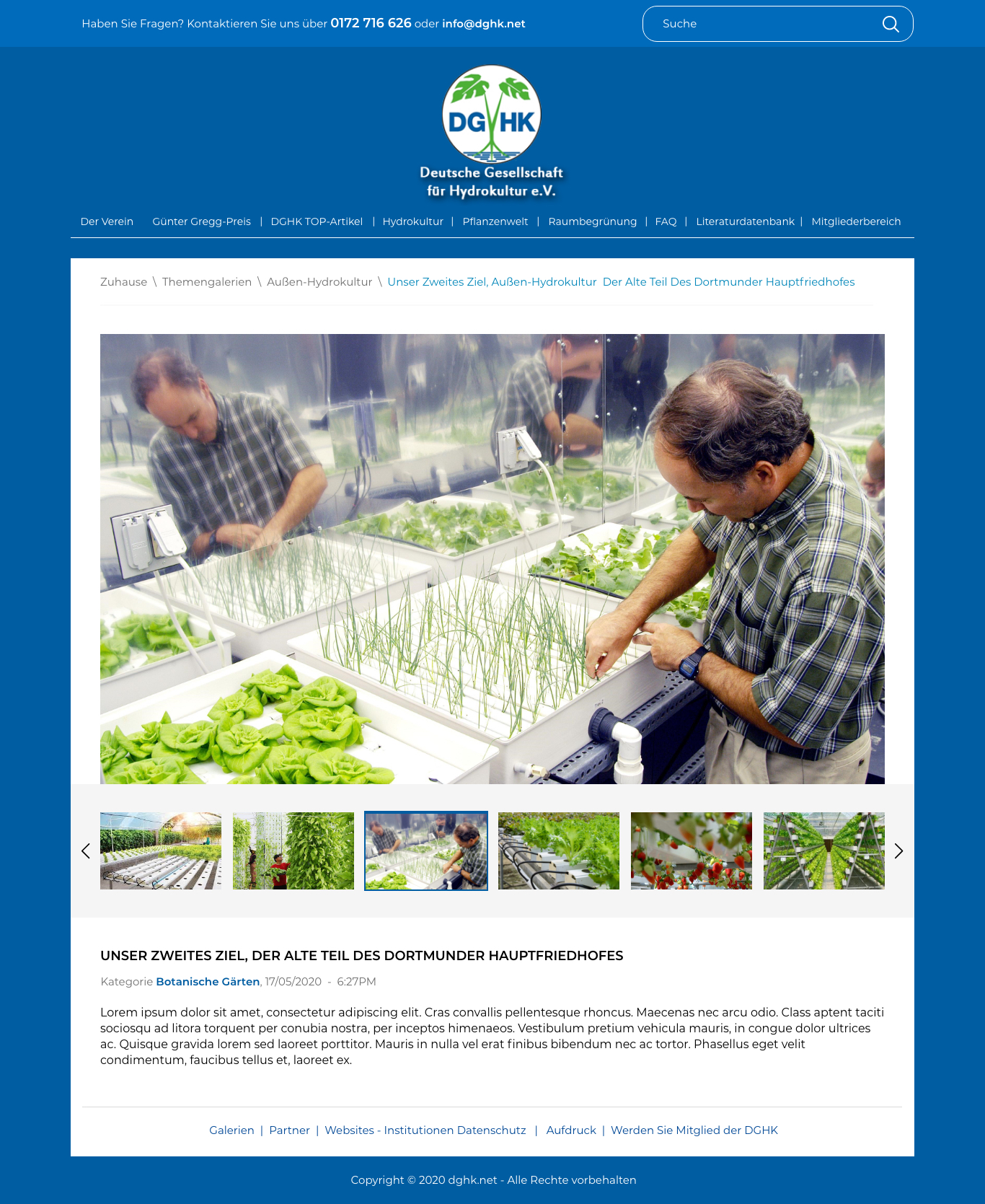 DGHK – Lily Designer